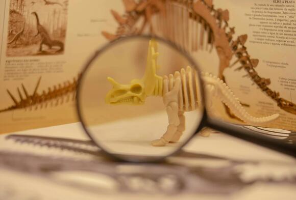 The First Dinosaur Bones Found in Ireland What They Reveal About ...