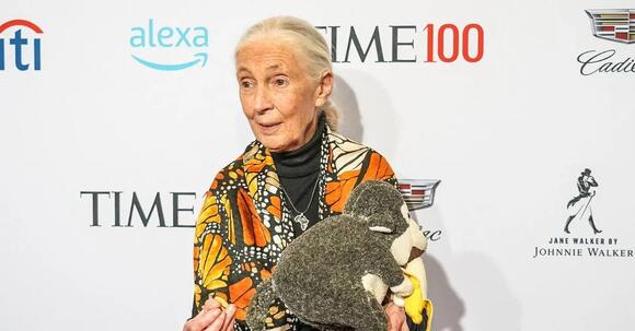 Dr. Jane Goodall's Family: Everything to Know After Her Death at 91 ...