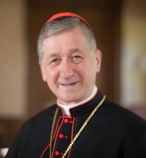 Chicago's Cardinal gets support from the Pope - NewsBreak