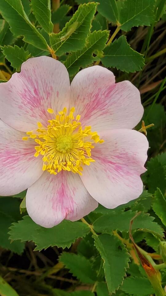 15 Ways to Beat the Fall Blues in North Dakota and Montana - NewsBreak