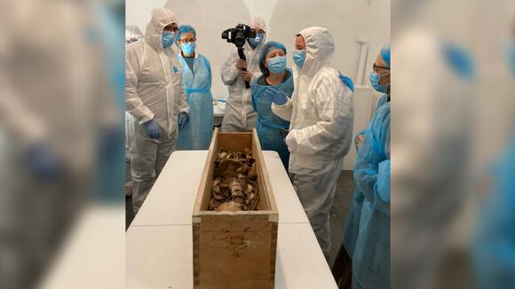 Skeletal remains of Queen Elisenda, one of the most powerful rulers in ...