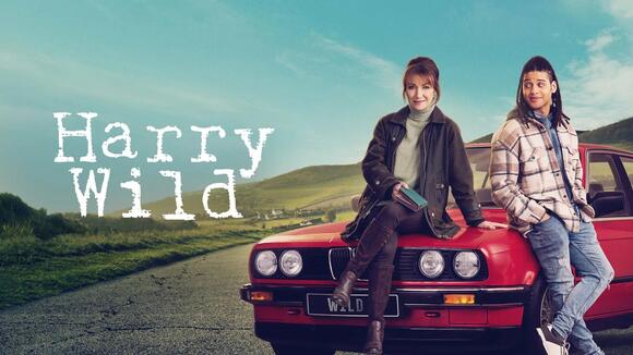 Harry Wild cast and character guide: Who plays whom in the comedy show ...
