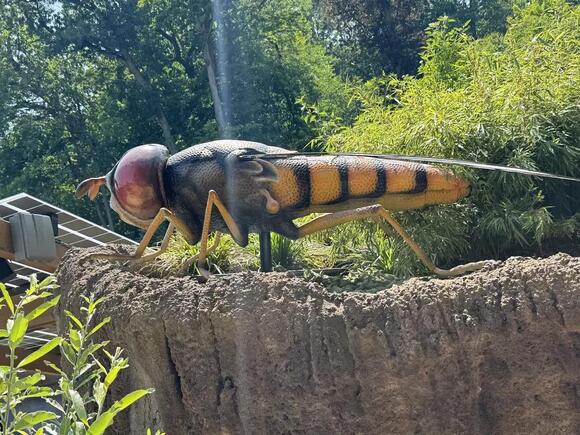 John Ball Zoo Reveals Name of Its First Baby Pygmy Hippo - NewsBreak