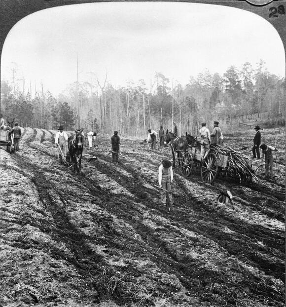 Where Did the Word 'Redneck' Come From? The Surprising History of the ...