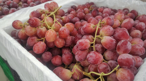 How To Pick Out The Freshest Grapes At The Grocery Store (And Identify ...