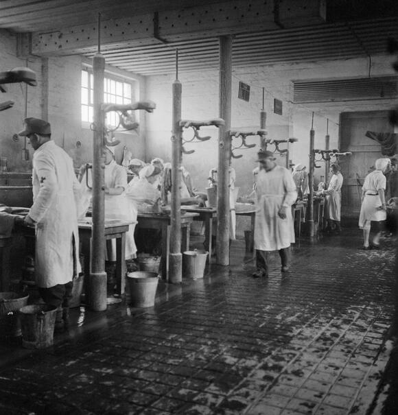 The Life and Tragedy of Anne Frank—A Story of Courage and Hope - NewsBreak