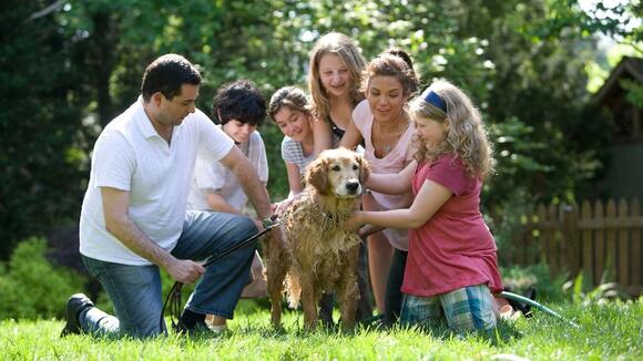 Train Your Dog Together for Household Harmony - NewsBreak
