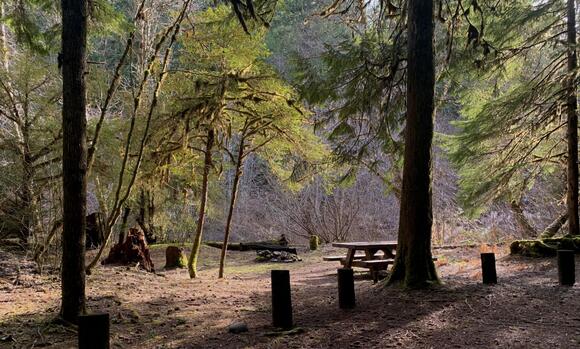 Check out the recent openings on the Clackamas River Ranger District ...