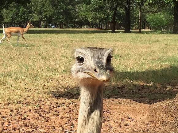 East Texas School Closures & Delays For Wednesday, January 28 - NewsBreak