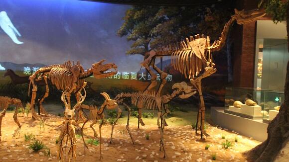 5 Prehistoric Creatures You Didn’t Know Ruled Ancient North America ...