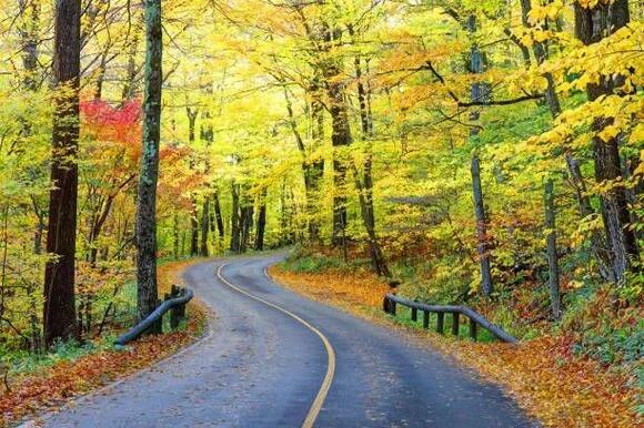 Sperry Road Campground On Mount Greylock Will Open With New Amenities ...