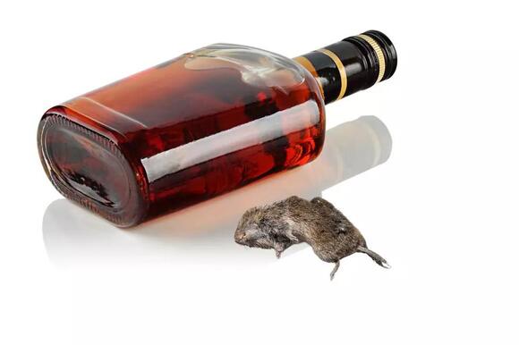 The Craziest Items Montana Hunters Have Found in the Wild - NewsBreak