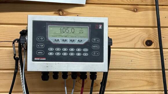 105-Pound Blue Catfish Breaks 21-Year-Old Iowa Record - NewsBreak