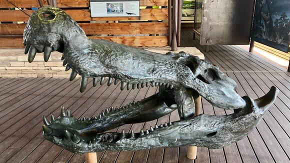 Ancient River Systems in the US Were Home to Gigantic Prehistoric ...