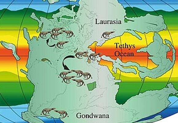 How Dinosaur Discoveries Changed the Way We See Time - NewsBreak