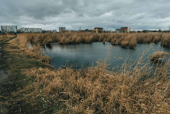 Why You Should Care About Wetland Restoration in 2025 - NewsBreak