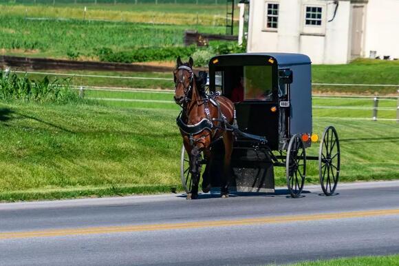 Police Say Driver With No License Hit Amish Buggy On NY Road - NewsBreak