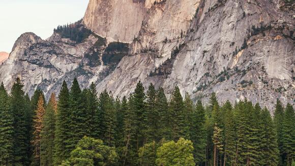 NPS ID requirement updates for 2026 — what visitors should know - NewsBreak
