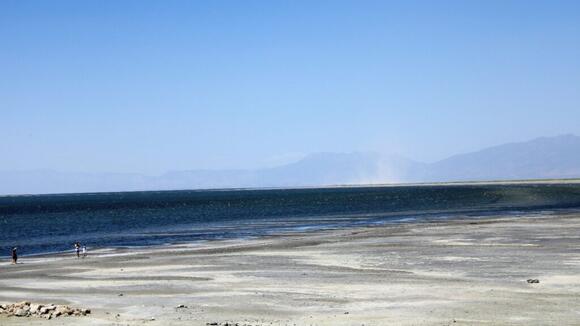 Scientists uncover mysterious creature in Great Salt Lake, a 1st-ever ...