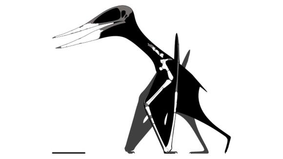 The Legendary K-T Extinction Event and Its Effect on Dinosaurs - NewsBreak