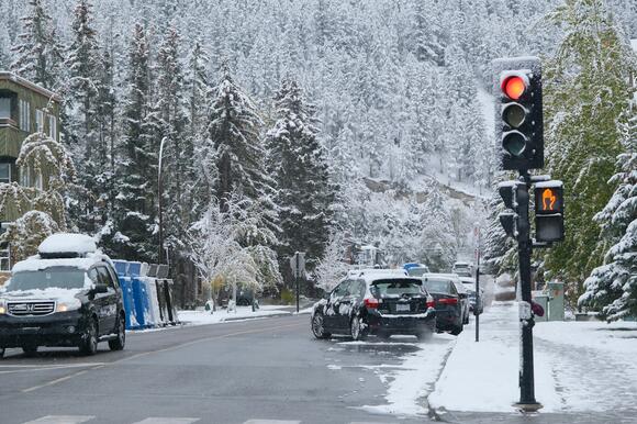 I Was Ticketed for Rolling Through a Stop Sign That Was Completely ...