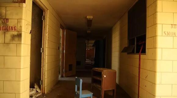 Illinois Man Describes Seeing Enormous Black Creature on Farm - NewsBreak