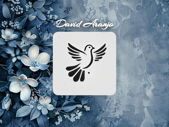 OBITUARY: David Aranjo - NewsBreak