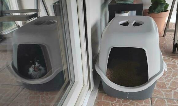 16 Hilariously Timed, But Utterly Confusing Photos From May That'll ...