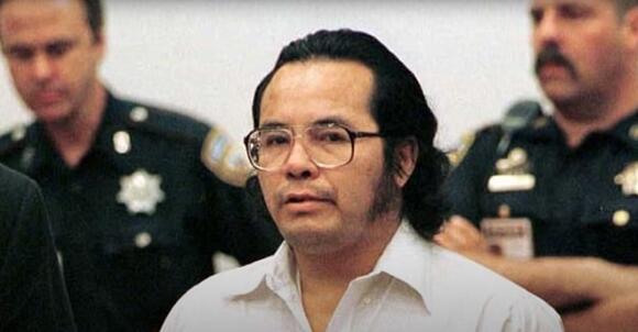 The Kitten Scam That You Need to Be Aware Off in Texas - NewsBreak