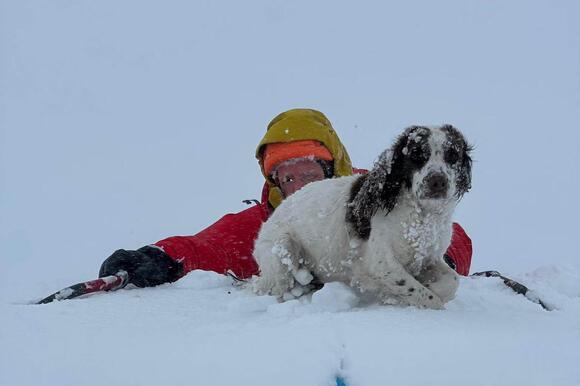 Dog rescued after falling through snow ledge and surviving freezing ...