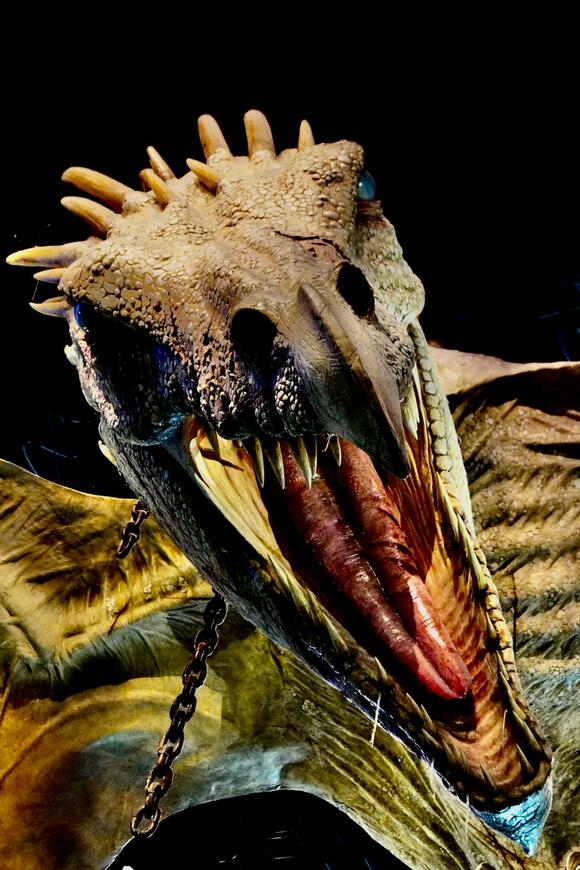 The Toothless Dinosaurs With Powerful Beaks - NewsBreak