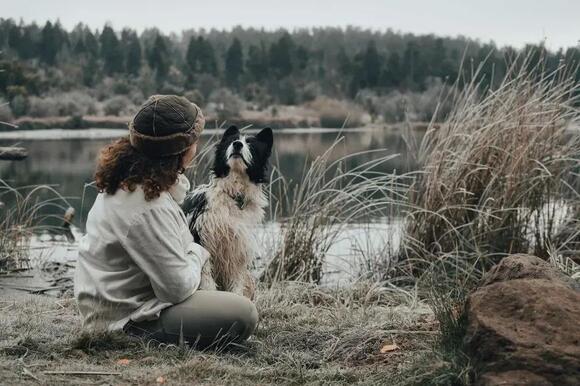 Psychology Says Dogs Who Follow You to the Bathroom Are Actually ...