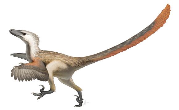 How Did Dinosaurs Hunt? New Evidence From Fossilized Tracks - NewsBreak