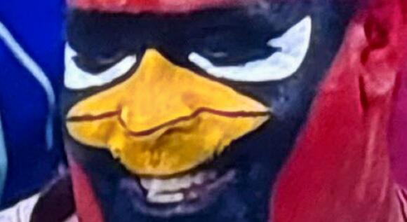 The Entire Internet Is Freaking Out Over Viral Arizona Cardinals Fan ...