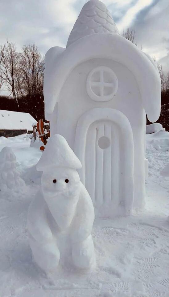 Mushroom Village Made of Snow Turns Heads in Central New York - NewsBreak