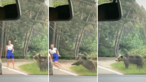 Confounding video captures woman's close encounter with grizzly bear at ...