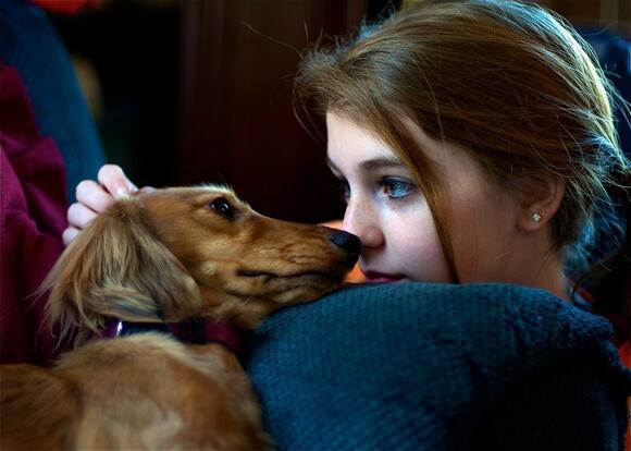 Why A Dog Can Love You More Than A Cat - NewsBreak