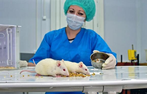 Is Animal Testing Justified in the Name of Conservation Science ...
