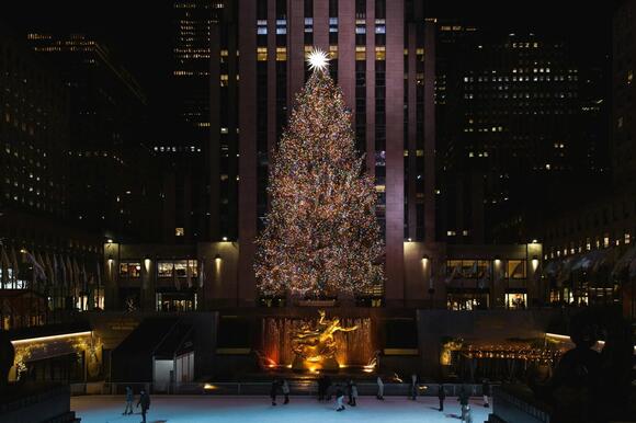 Upstate NY Tree Chosen for Rockefeller Center Magic - NewsBreak