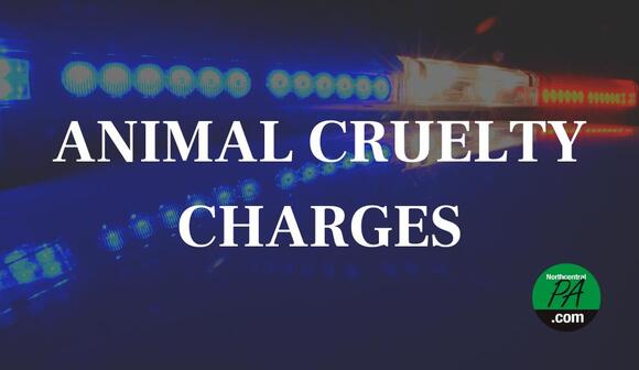 Man wanted for allegedly abusing and killing puppies - NewsBreak