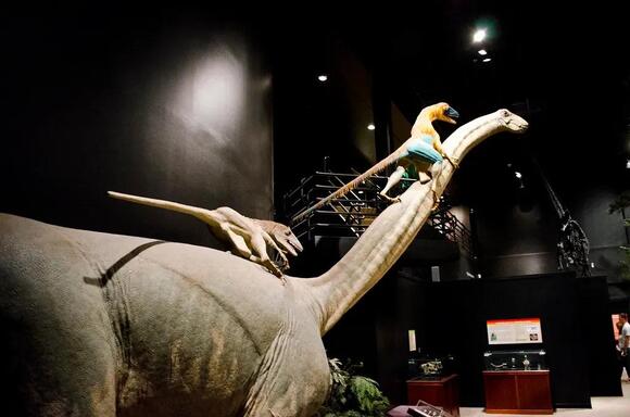 7 Astounding Dinosaur Behaviors That Defy Modern Animal Comparisons ...