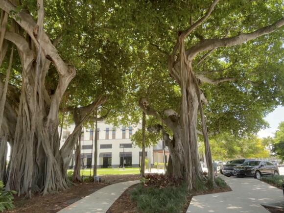 'Really big issue': This city awarded $100,000 grant to combat extreme ...