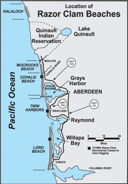 🐚 Razor clam digging open April 30–May 6 on WA beaches - NewsBreak