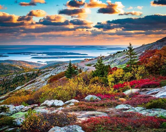 New $100 Surcharge For Nonresidents At Acadia National Park - NewsBreak