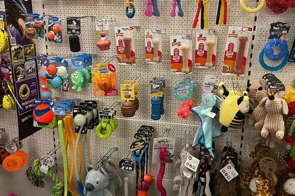 Popular pet store to shut for good as it launches closing down sale ...