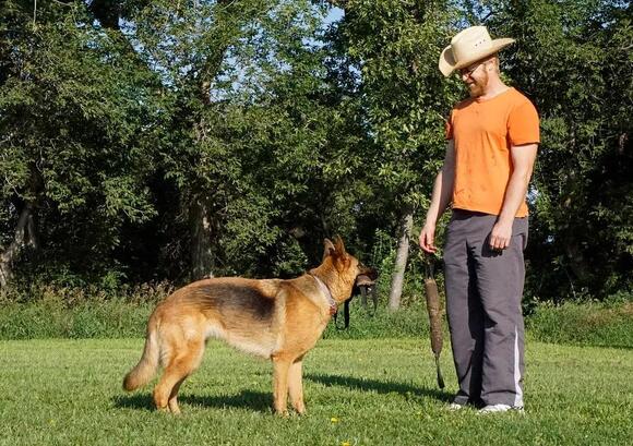 5 Ways Dogs Say “I Forgive You” – And 3 Times They Don’t - NewsBreak