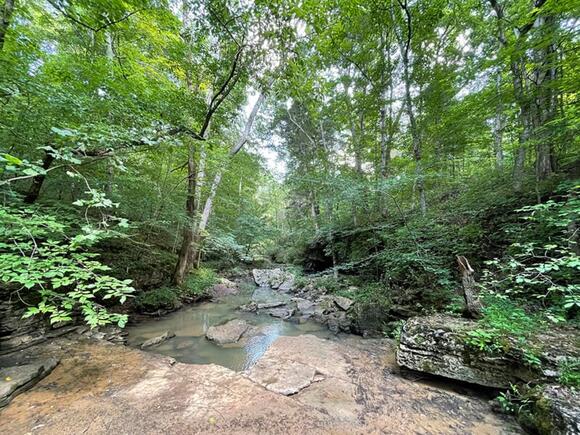 What Is a Holler and Why Do the Mountain People Say It That Way ...