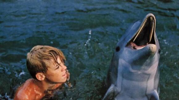 They Call Him ‘Flipper,’ and These 7 Facts About the Hit 1964 Show Will ...