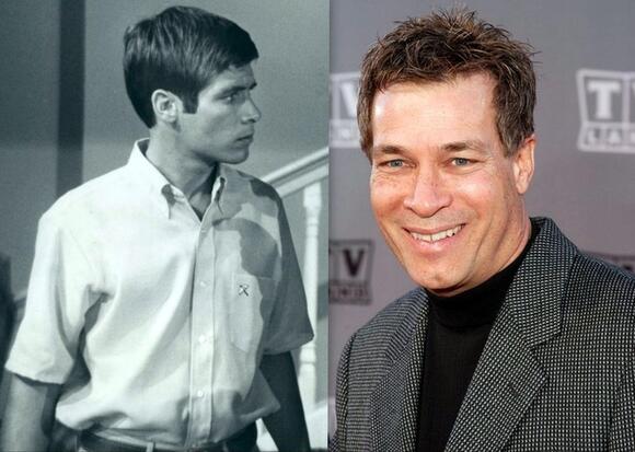 Former Child Star Don Grady: His Roles Beyond 'The Mickey Mouse Club ...