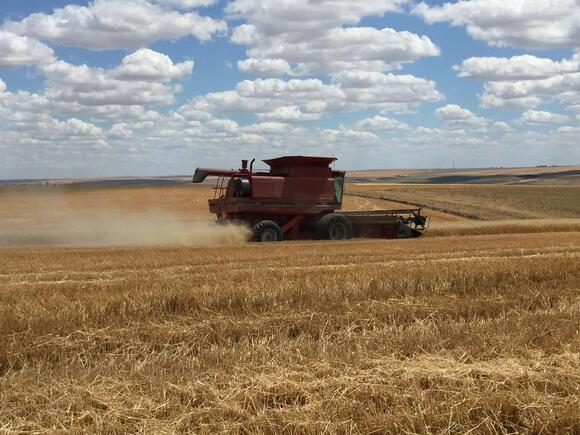 Farm Profitability In Washington Drops To 50th In National Rankings ...